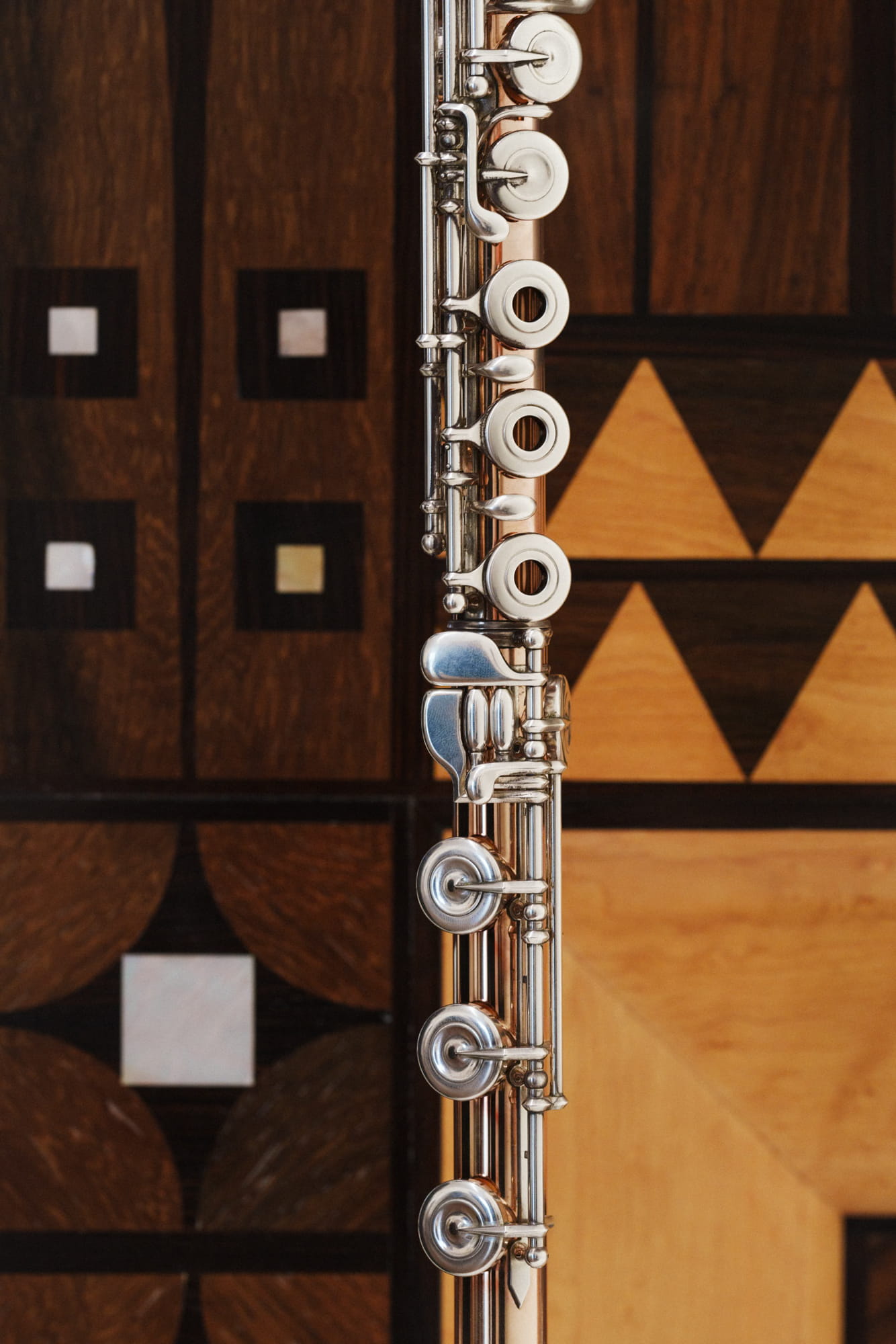 Orchester der Stadt | David Payr