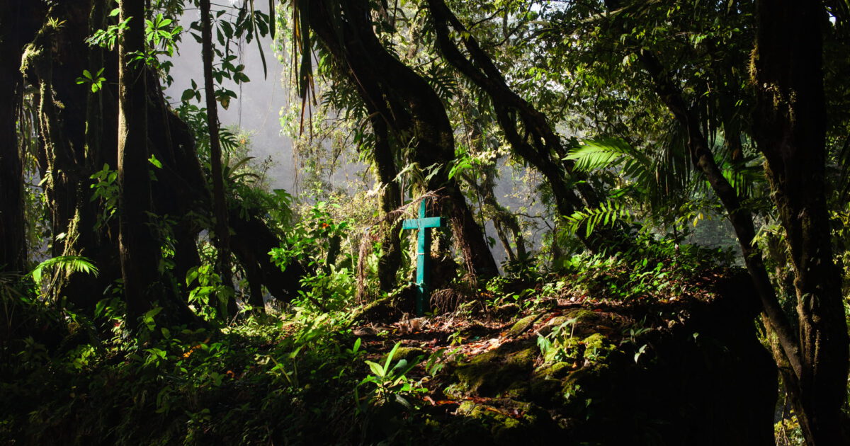 Viva Mexico | David Payr